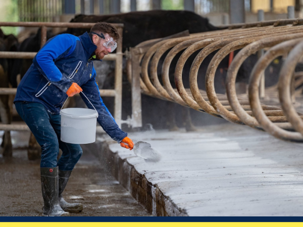 Animal Feed Lime - Bennettsbridge Limestone
